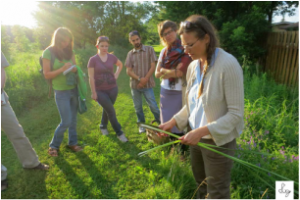 An Interview with Amber Westfall from the Wild Garden in Ottawa, Canada